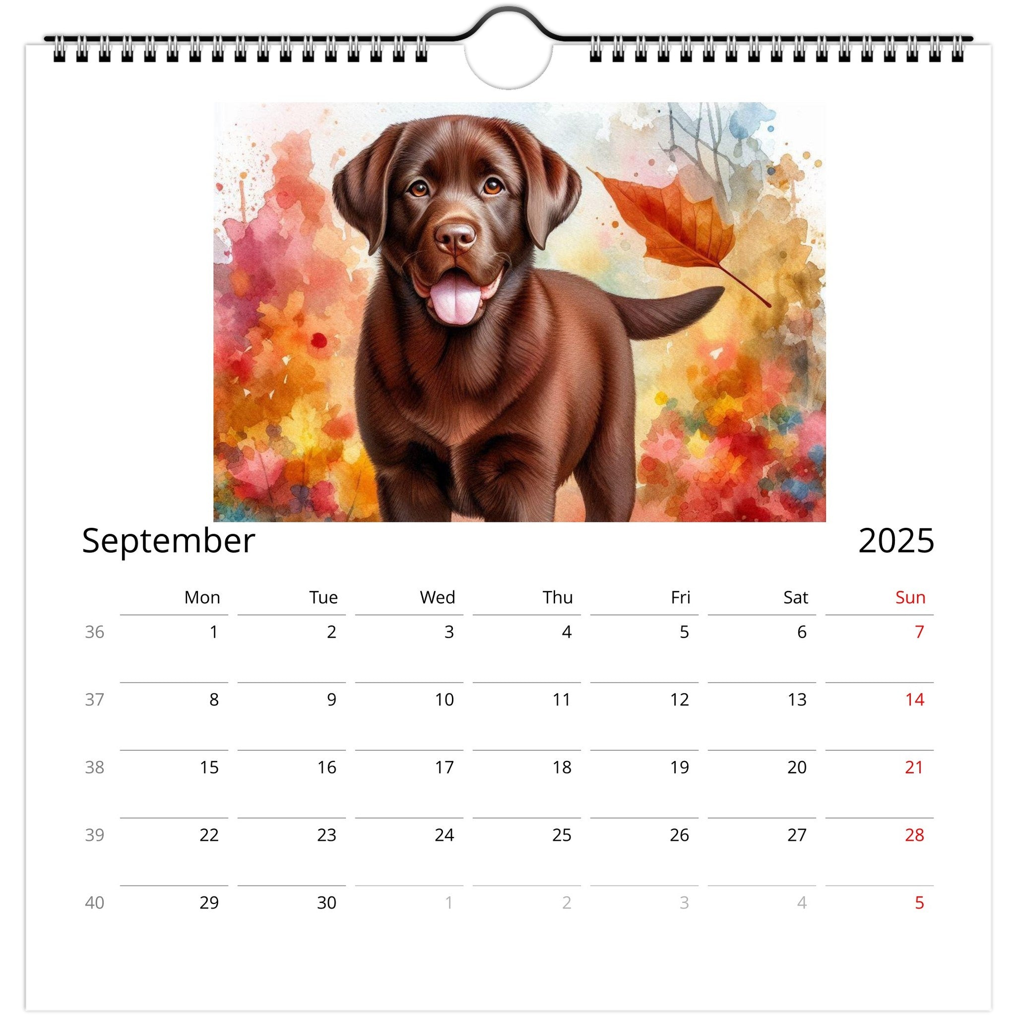 Calendars – Bold'n Barky Boutique