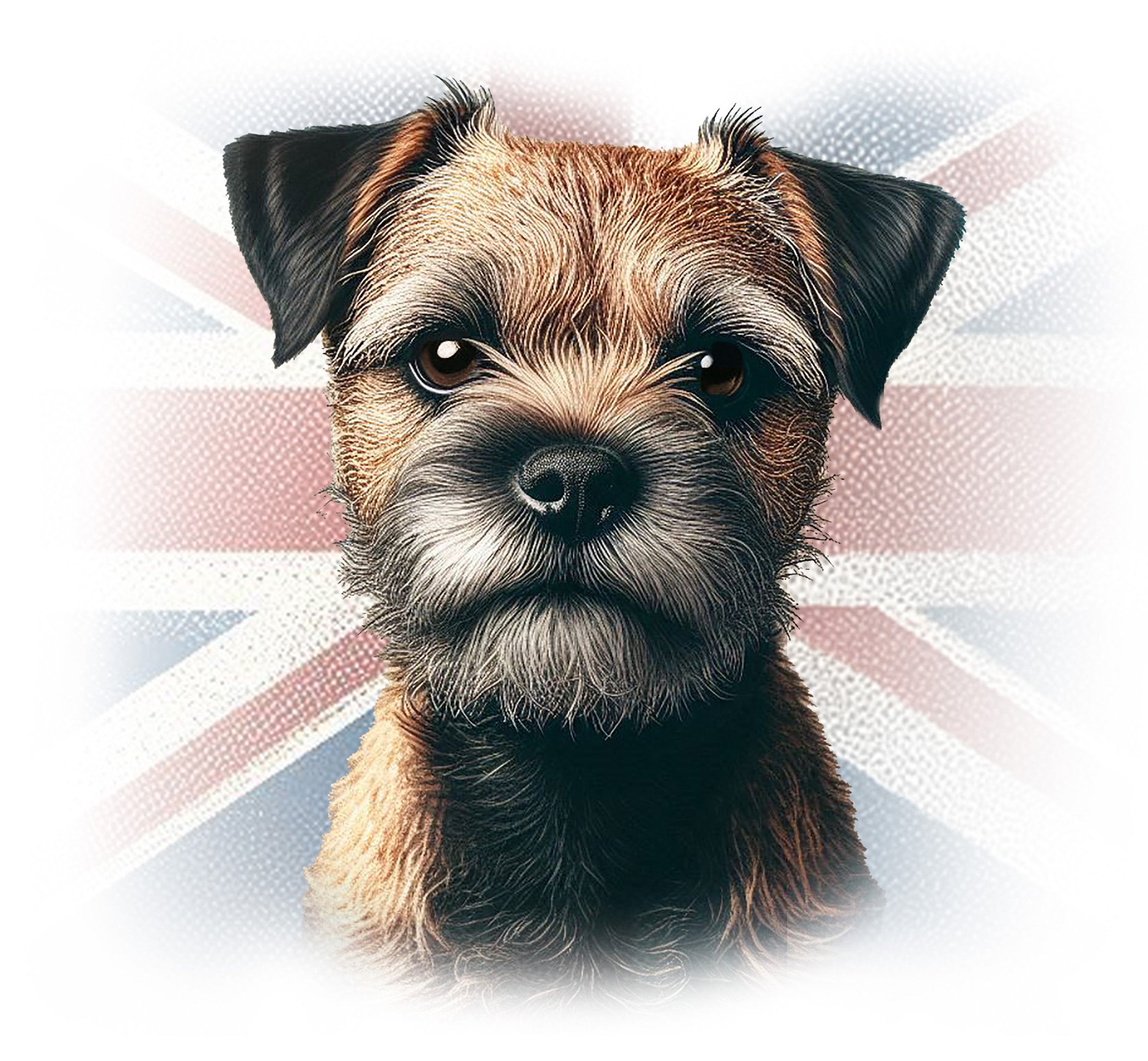 Border Terrier – Bold'n Barky Boutique